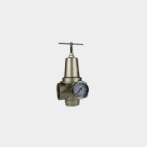 Regulator With Gauge (No Bracket) - Mech-Elec Automation